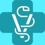 Vaginite de la chienne : symptômes, traitement - Catedog