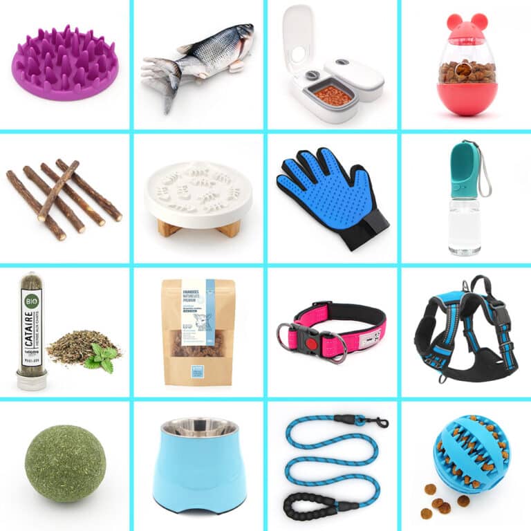 Collapsus trachéal du chien : traitement, espérance de vie - Catedog