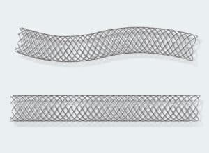 Collapsus trachéal du chien : traitement, espérance de vie - Catedog